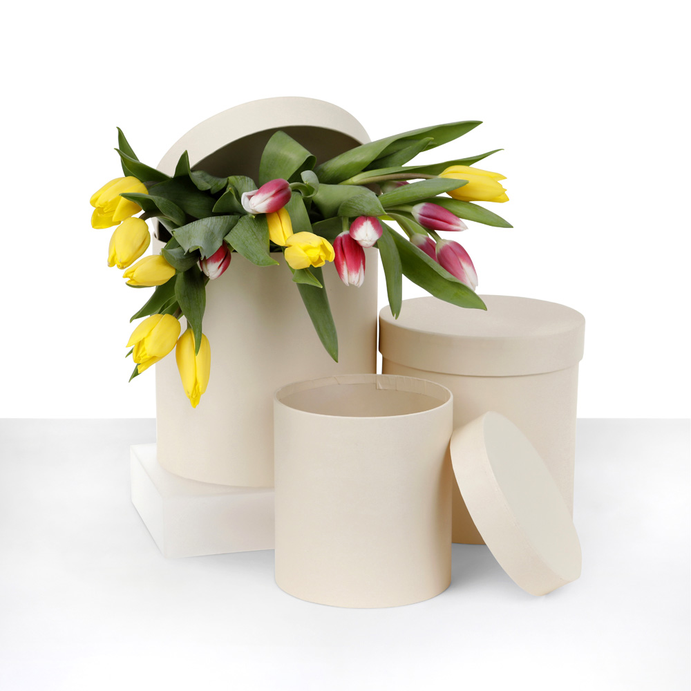 Set of 3, Round Flower/Gift Boxes with Lids, Beige/Pastel Yellow/Baby ...