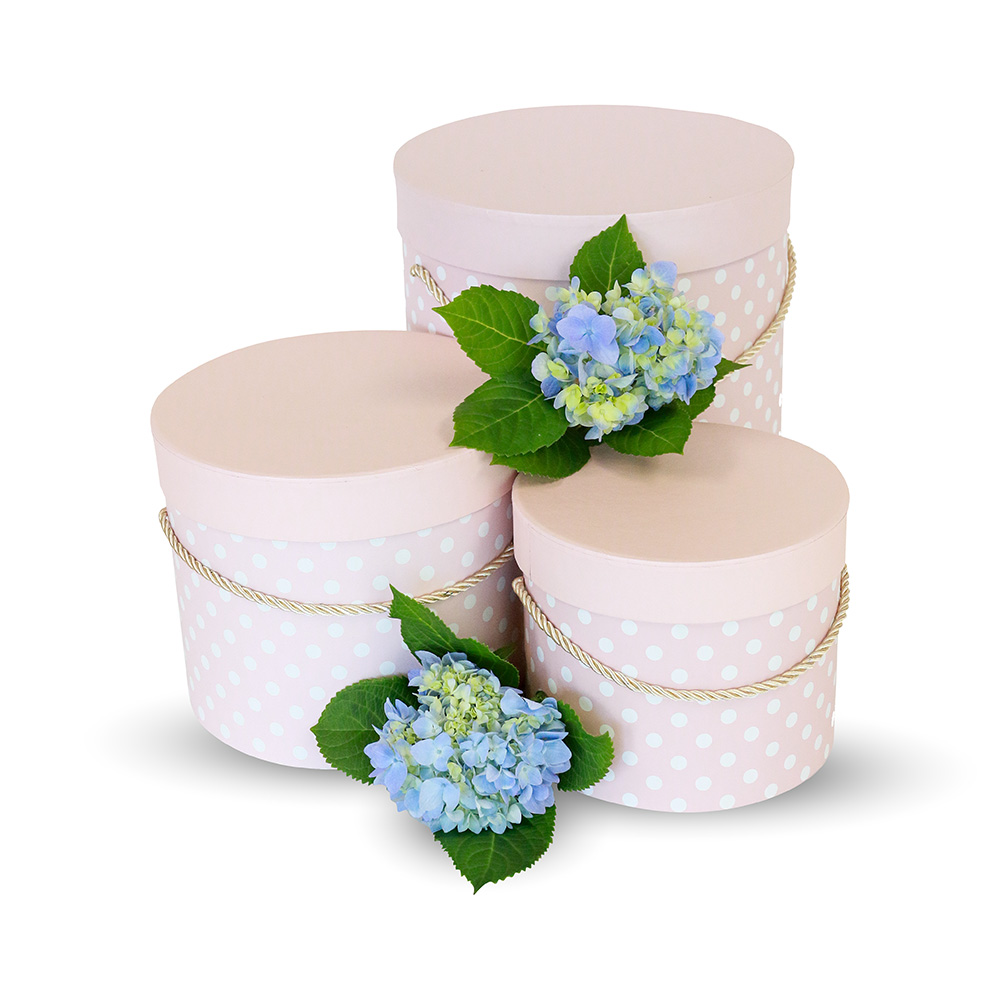 Set of 3, Round Flower/Gift Boxes with Lids, Polka Dots Design | W9399 ...