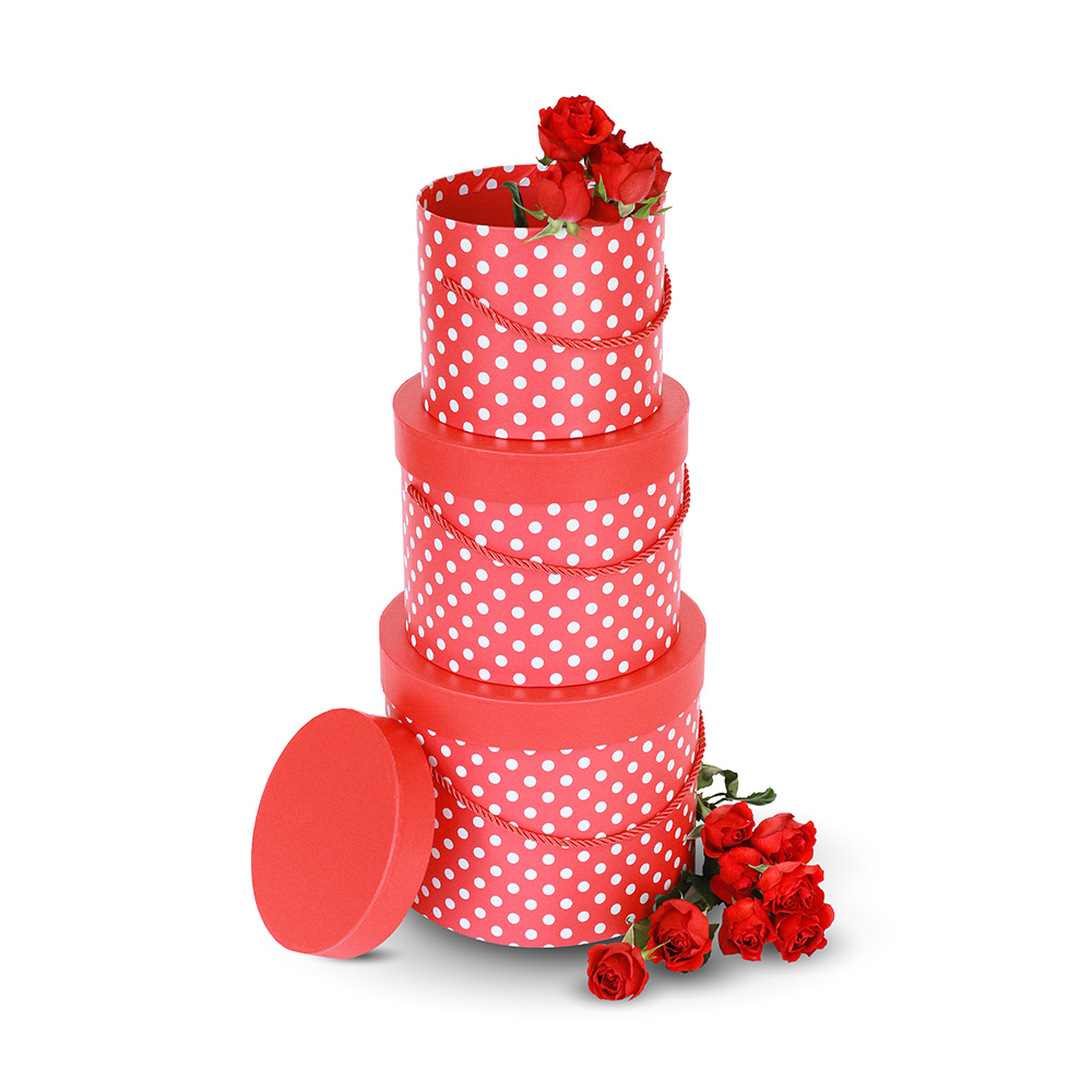 Set of 3, Round Flower/Gift Boxes with Lids, Polka Dots Design| W9399 ...