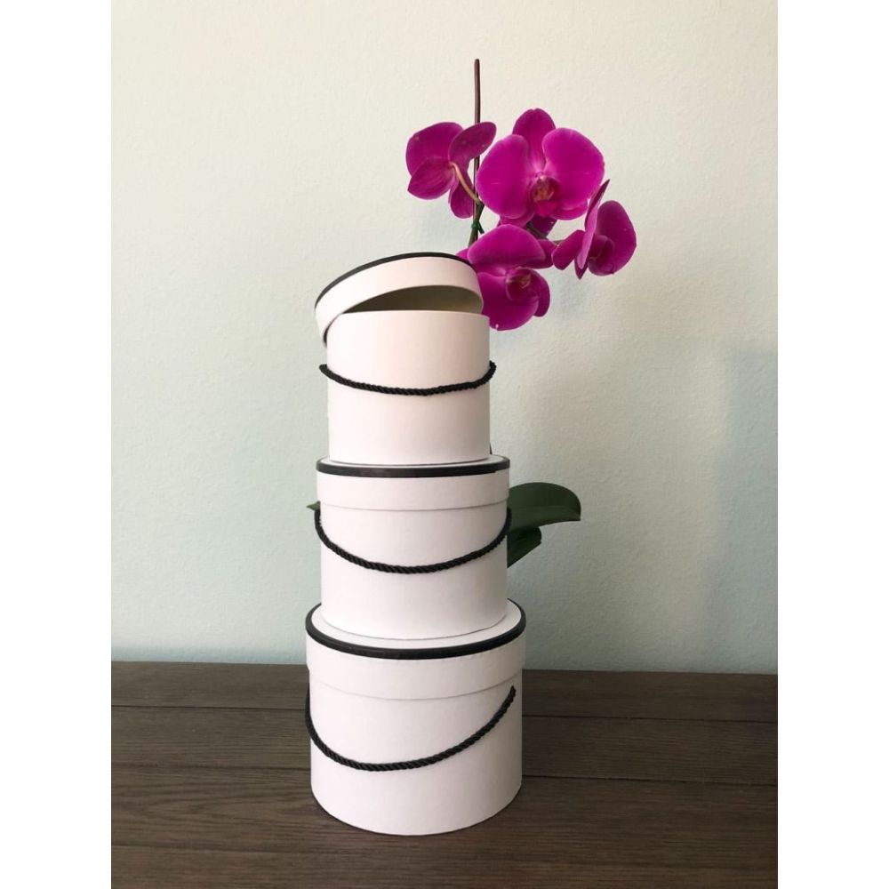 Set of 3 – Round Flower Box, Various Colors – Unikpackaging